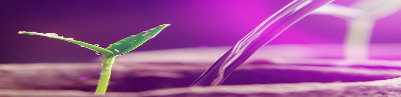 UV LED Curing Resins & Additives| Innovation |Allnex - allnex