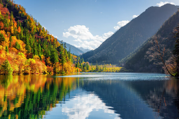 Allnex – The Coating Resins Company - allnex